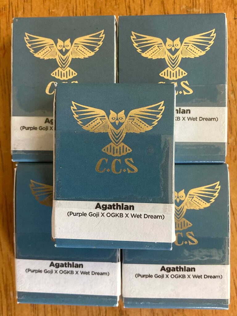 AGATHLAN: (Purple Goji X OGKB X Wet Dream) (10) Reg - ChaiLife Genetics