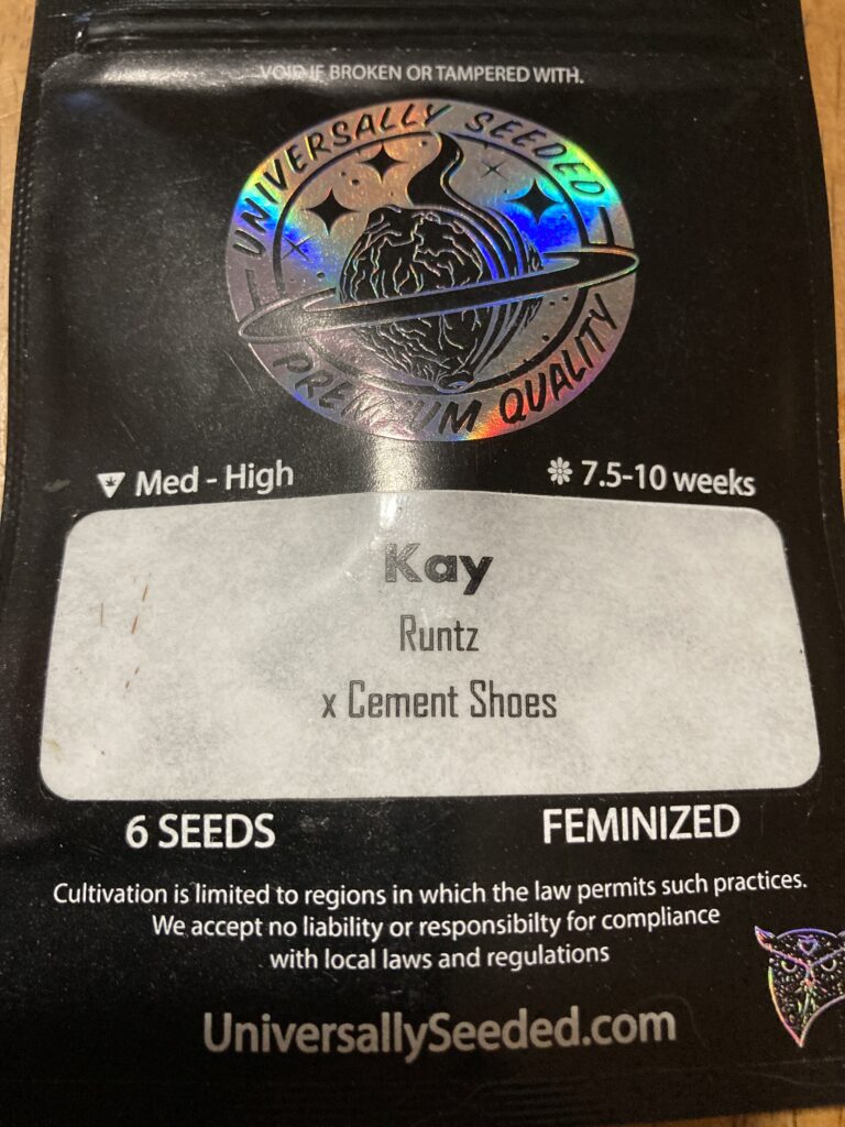 KAY: Runtz X Cement Shoes (6 FEM) - ChaiLife Genetics