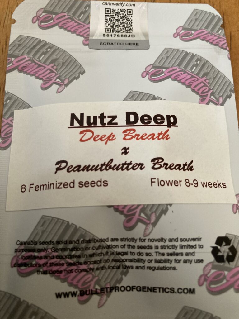 NUTZ DEEP: Peanut Butter Breath X Deep Breath (8 FEM) - ChaiLife Genetics