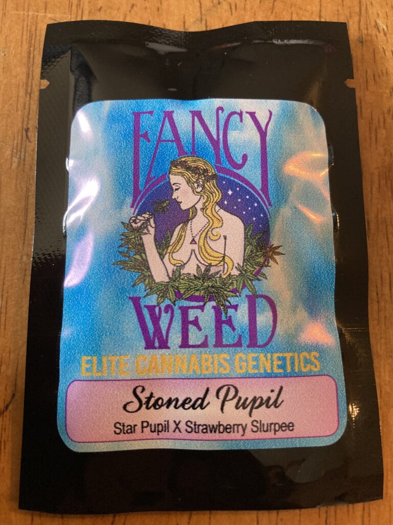 STONED PUPIL: Star Pupil X Strawberry Slurpee (12 Reg) - ChaiLife Genetics