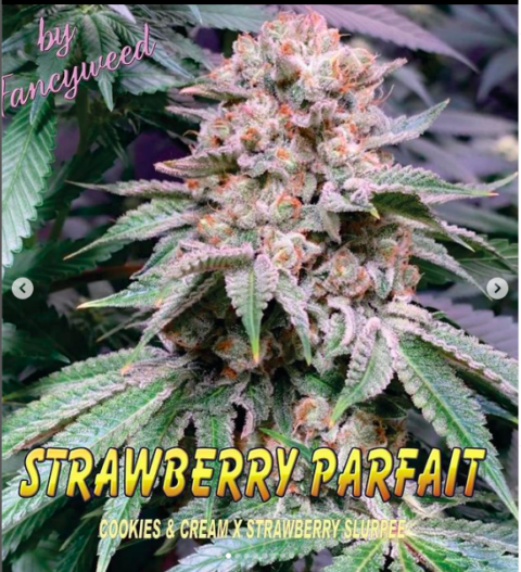 Strawberry Parfait: Cookies N Cream X Strawberry Slurpee (12 Reg ...